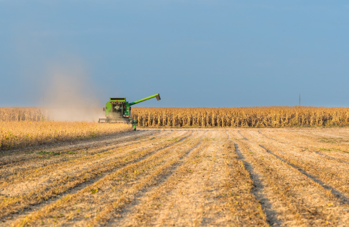 Harvesting Success: 7 Practical Tips For Maximizing Crop Yields With ...